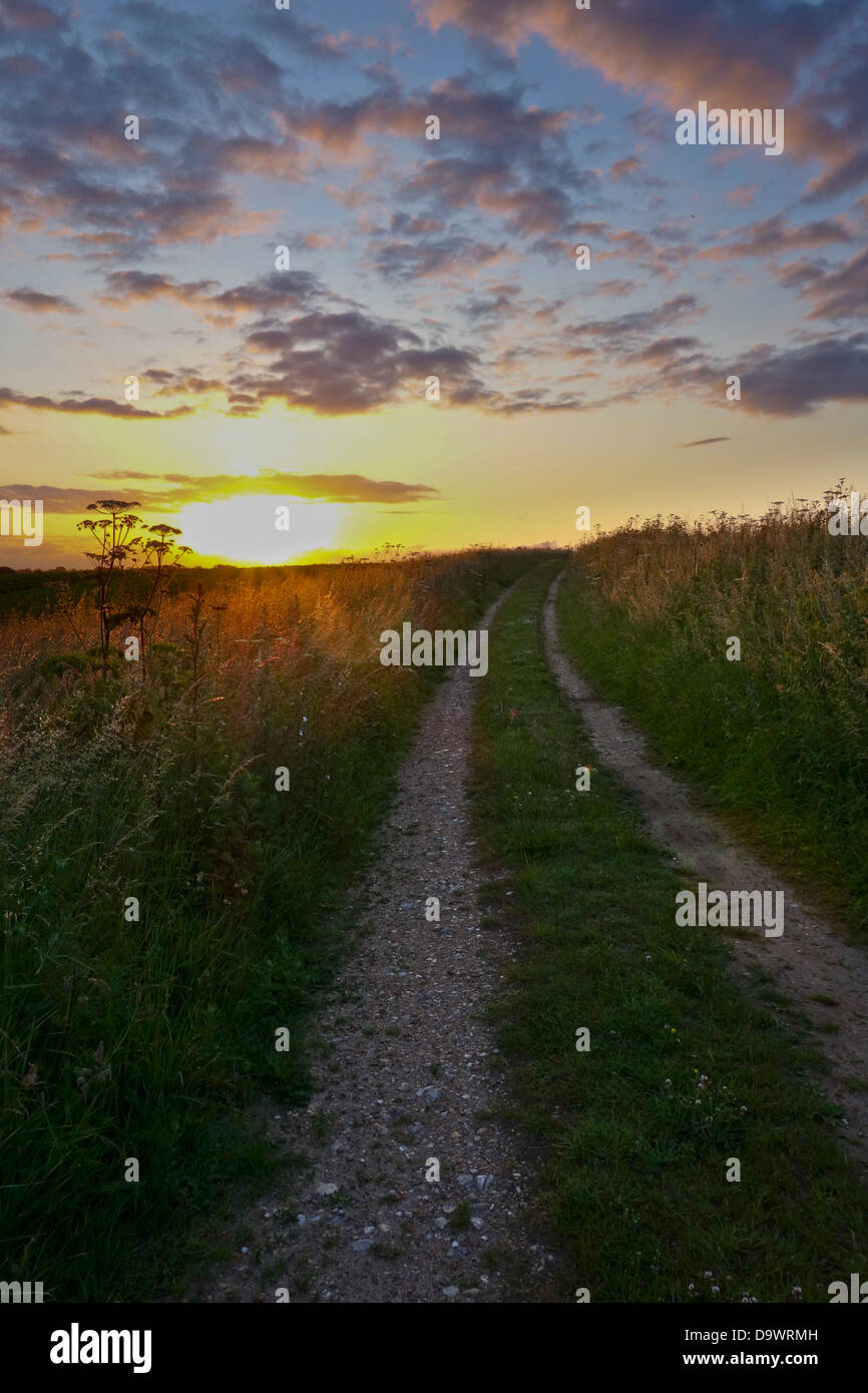 Sunrise dawn farm track Norfolk countryside Stock Photo - Alamy