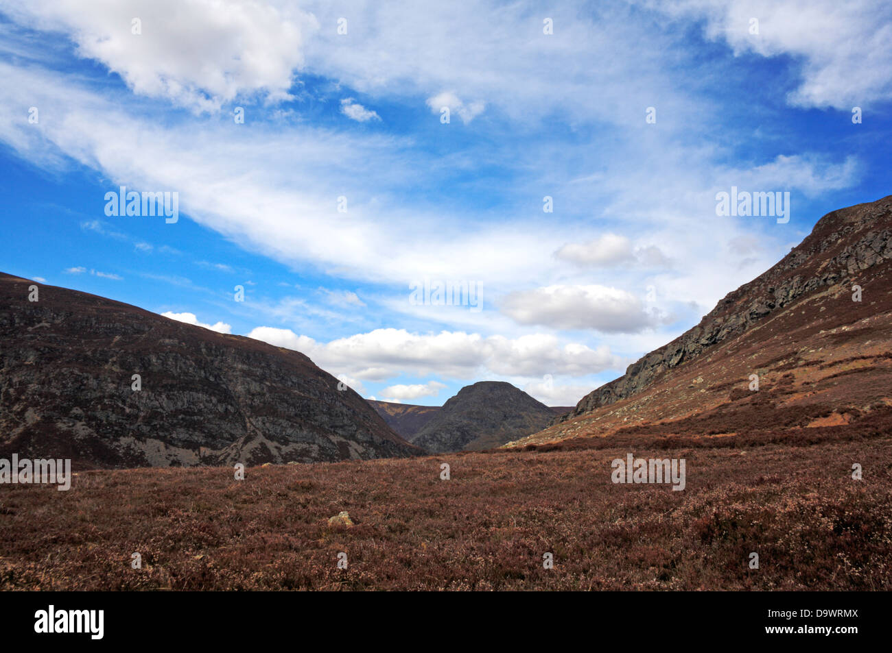 A view of hills and braes at the upper end of Glen Mark, Angus ...