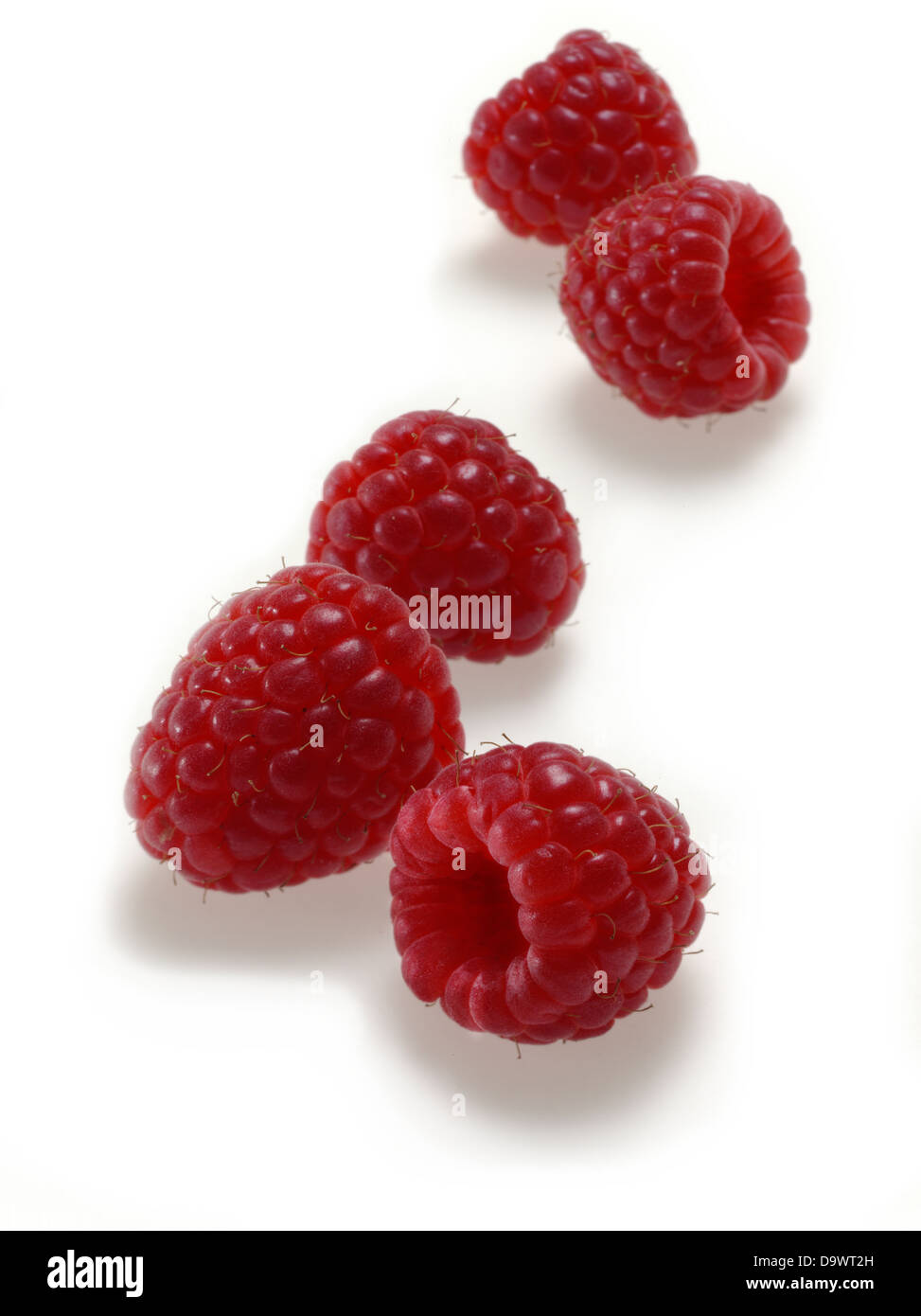 Rasberry Cut Out Stock Images & Pictures - Alamy