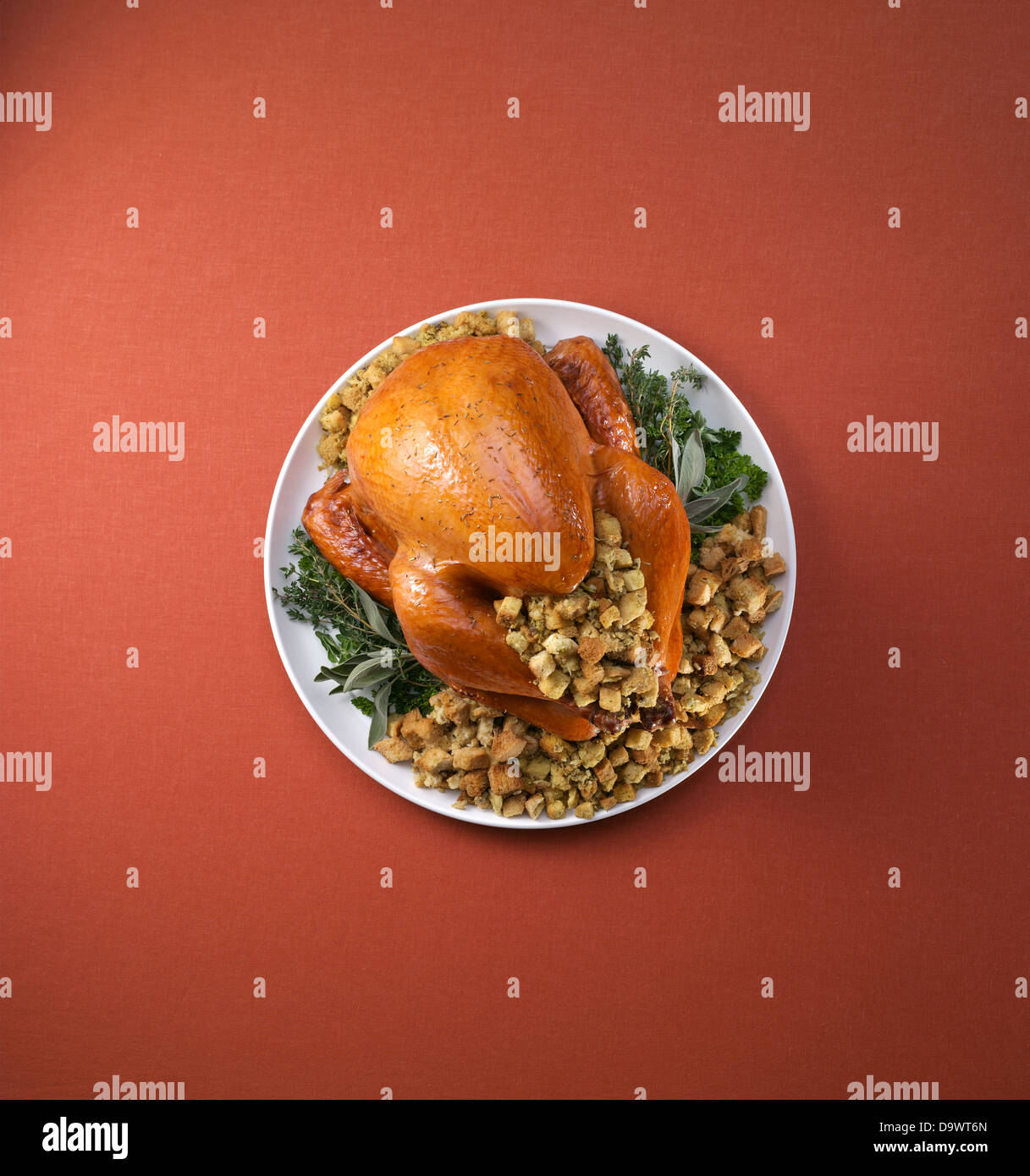 Thanksgiving turkey hi-res stock photography and images - Alamy