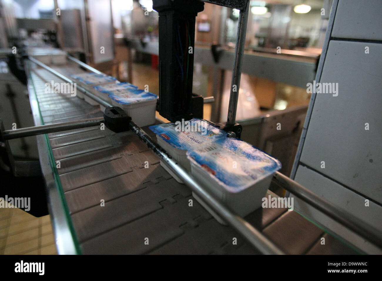 Hebron, West Bank, Palestinian Territory. 27th June, 2013. A picture ...