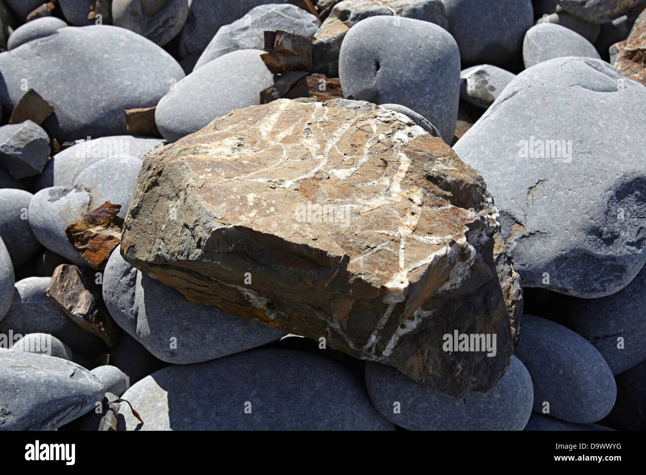 Rock shapes and pebbles at Welcombe Mouth. North Devon Stock Photo - Alamy