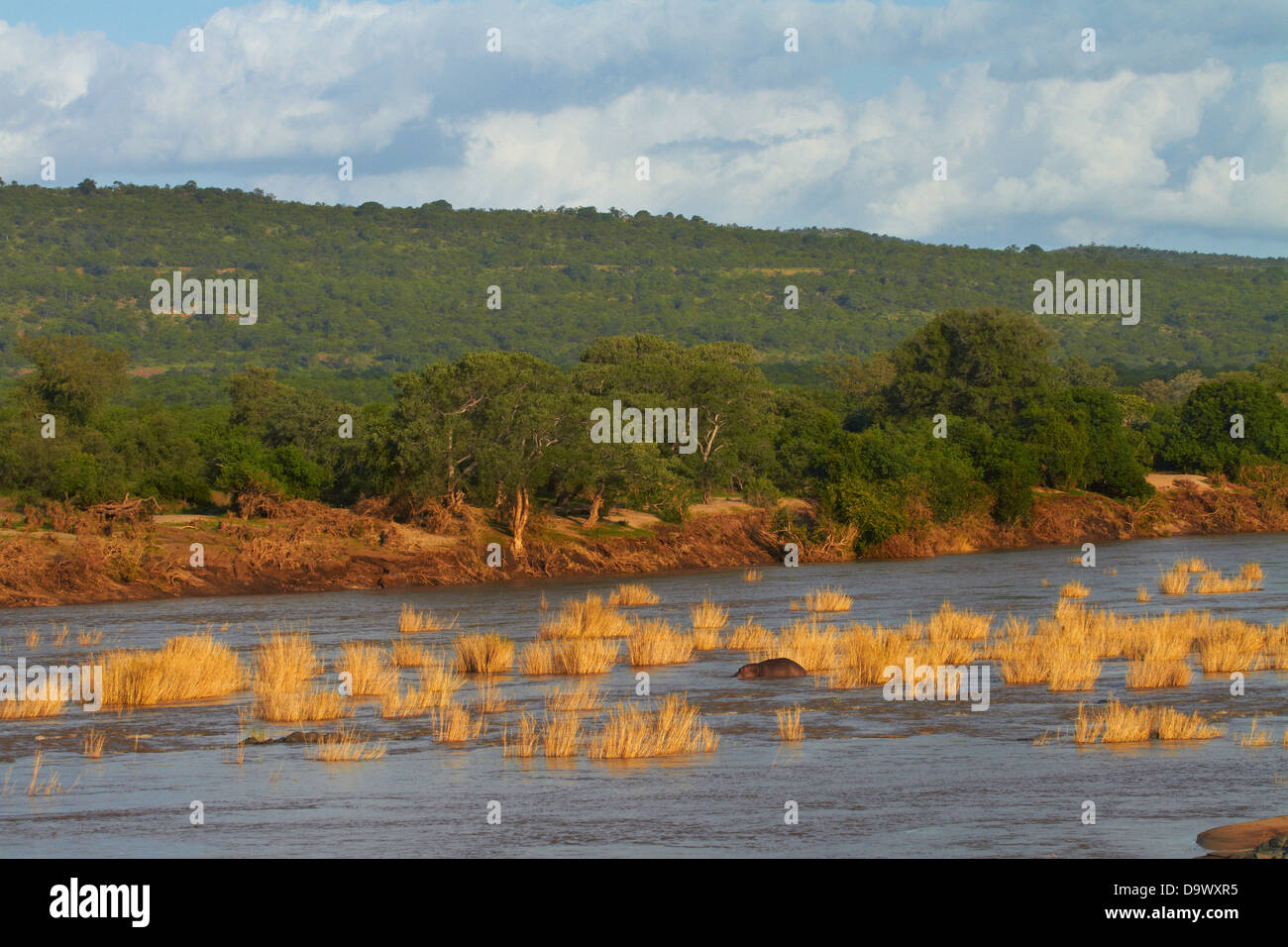 Letaba river hi-res stock photography and images - Alamy