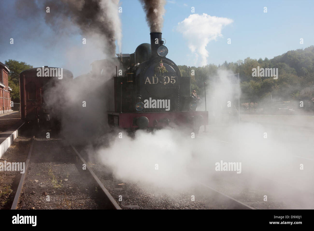 Steam locomotive backing up Stock Photo - Alamy