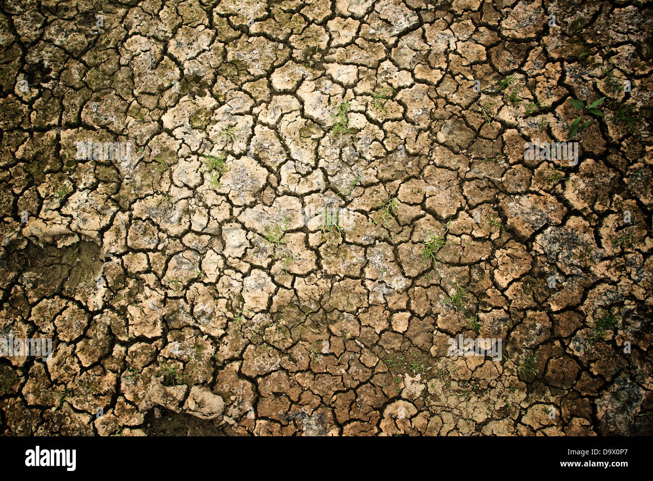 Dry land. Cracked dry clay soil as background Stock Photo - Alamy