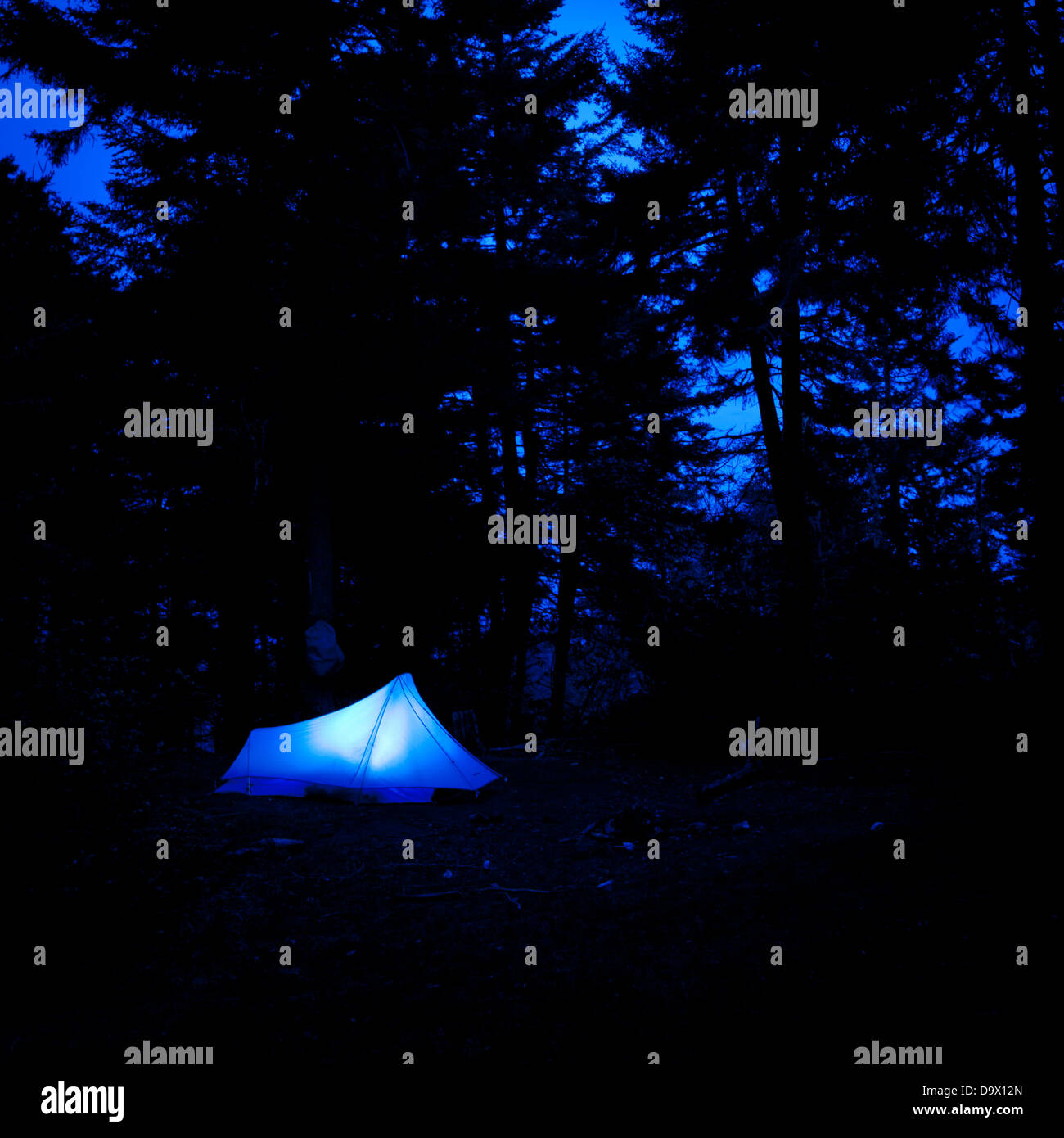 Glow tent hi-res stock photography and images - Alamy