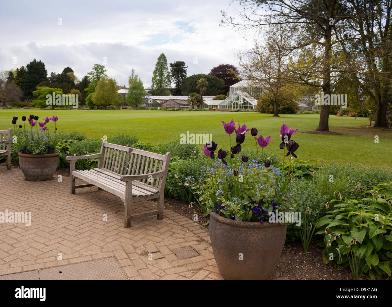 Cambridge university botanical gardens hi-res stock photography and ...