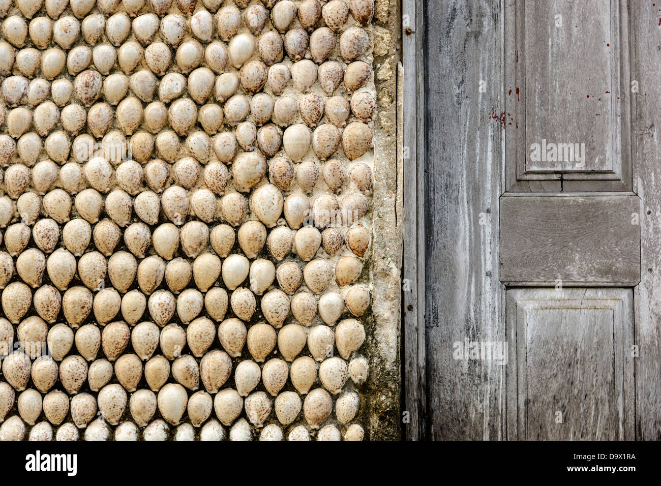 Shells africa hi-res stock photography and images - Alamy