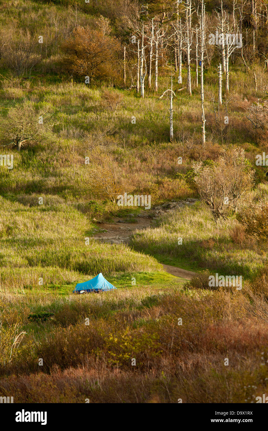 small backpacking tent set up in the mountains Stock Photo - Alamy