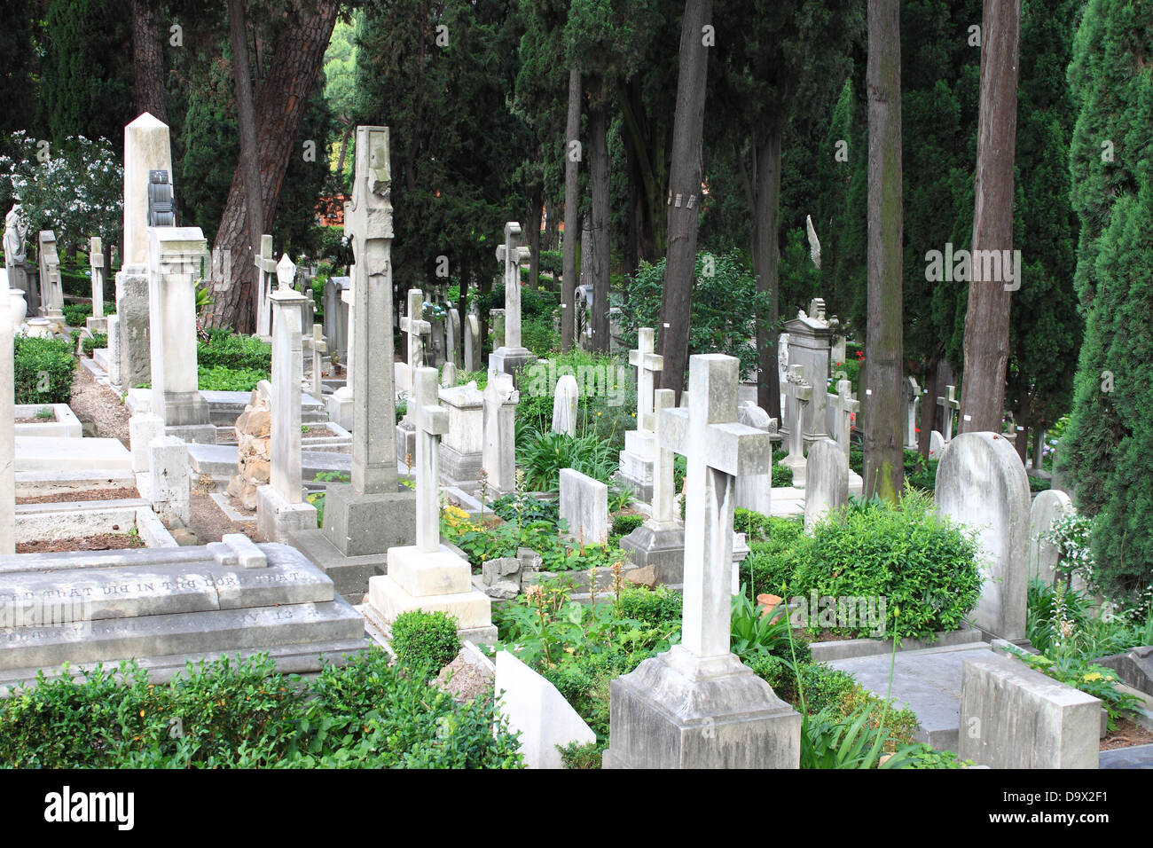 Burying plant hi-res stock photography and images - Alamy