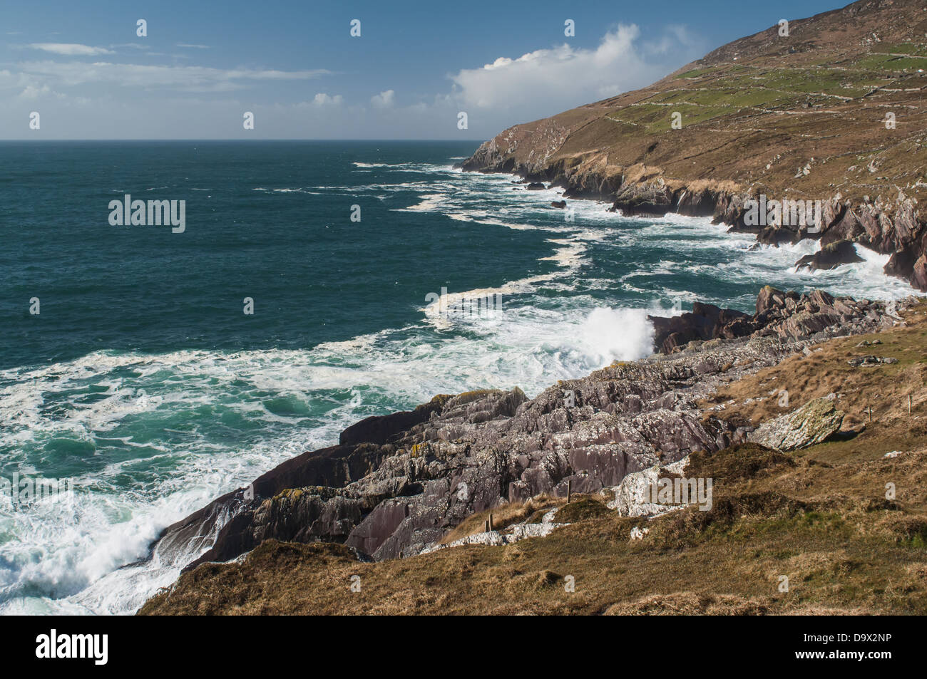 Bolus head hi-res stock photography and images - Alamy