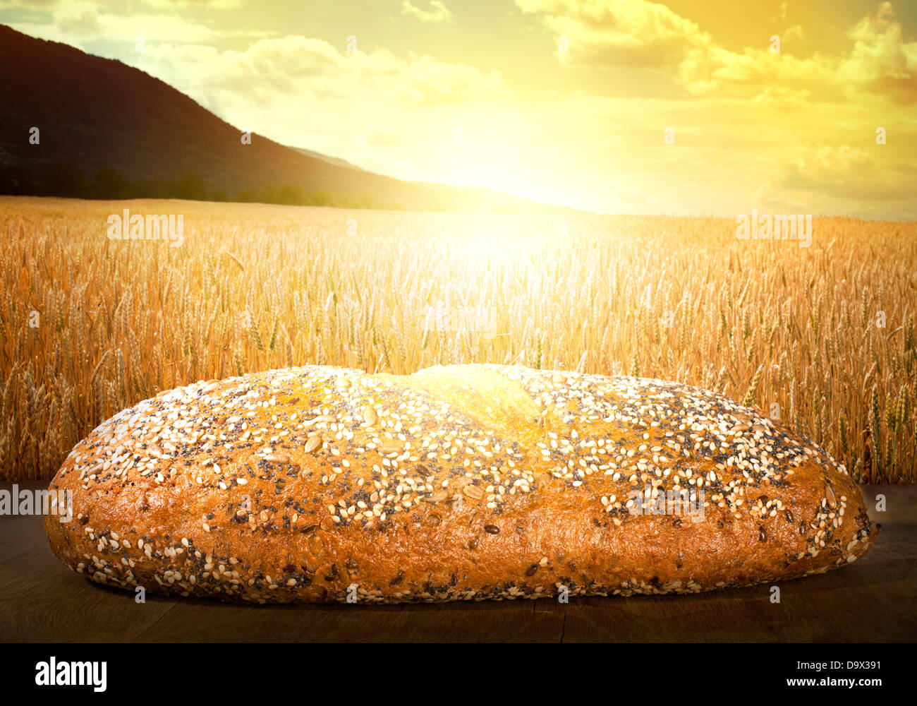Beautiful sunset on wheat hi-res stock photography and images - Alamy