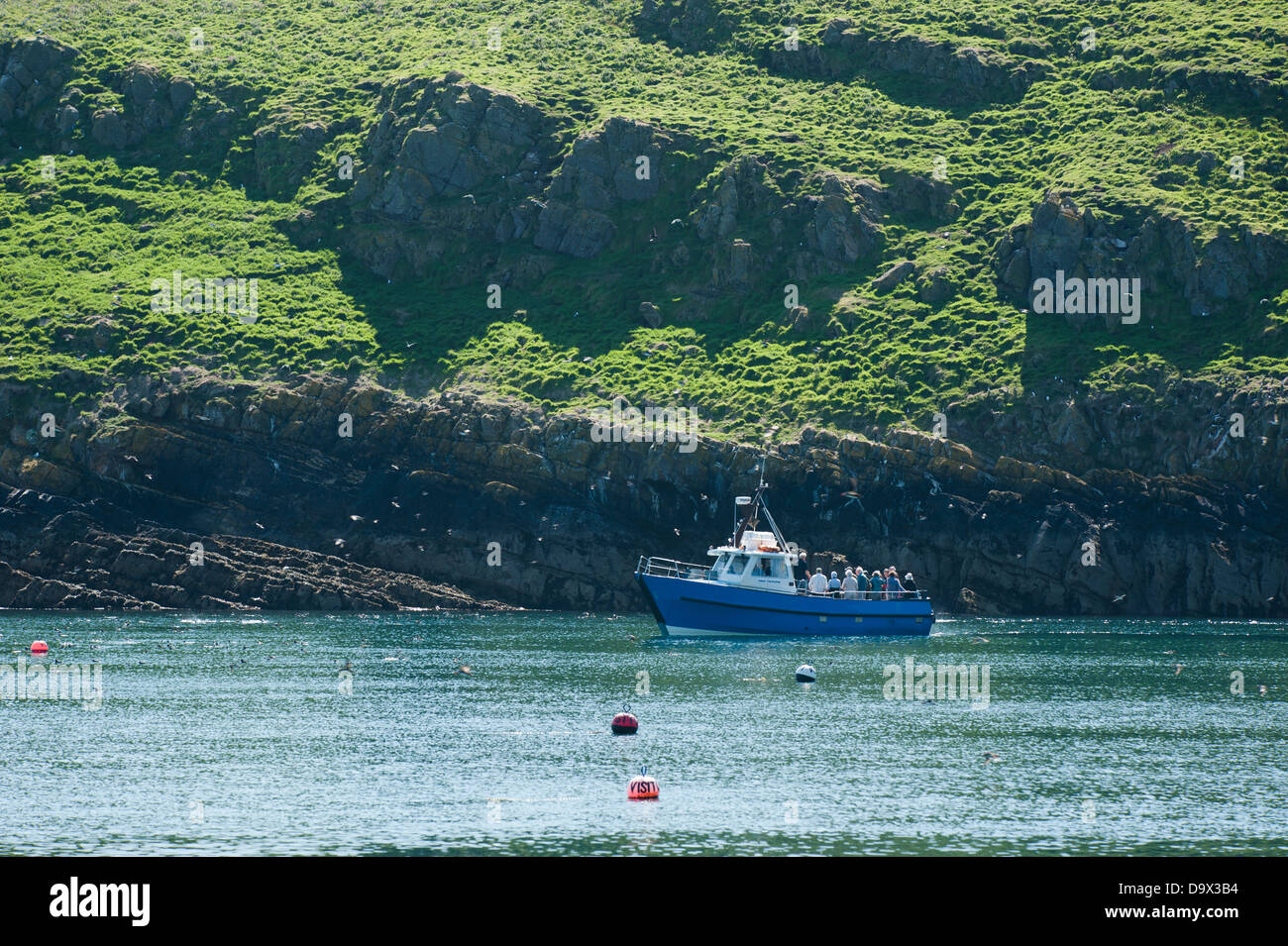 The Dale Princess touring around Skomer, South Pembrokeshire, Wales ...