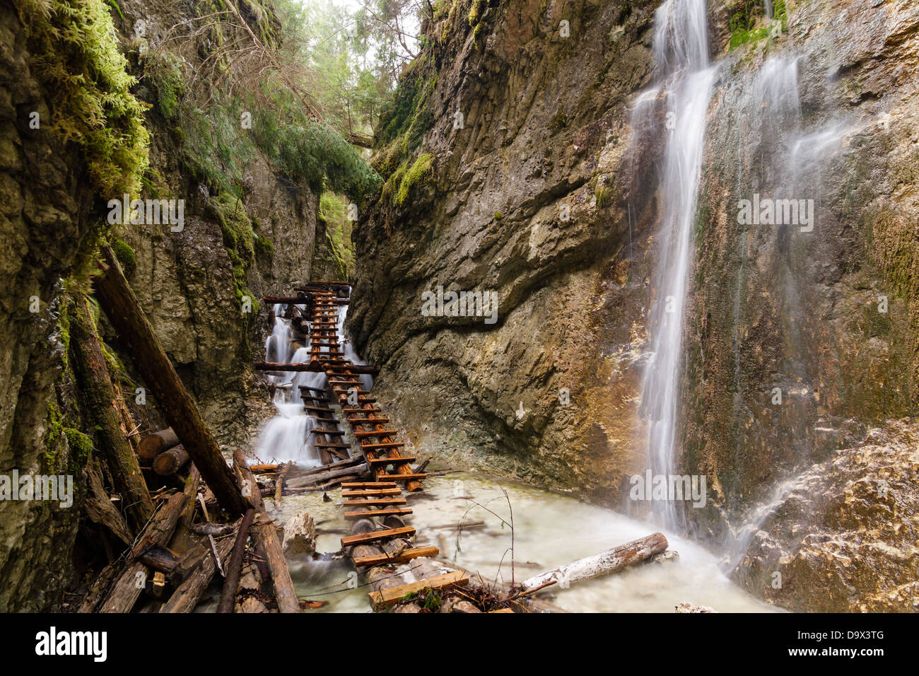 Mountain stream with ladder in canyon Stock Photo - Alamy