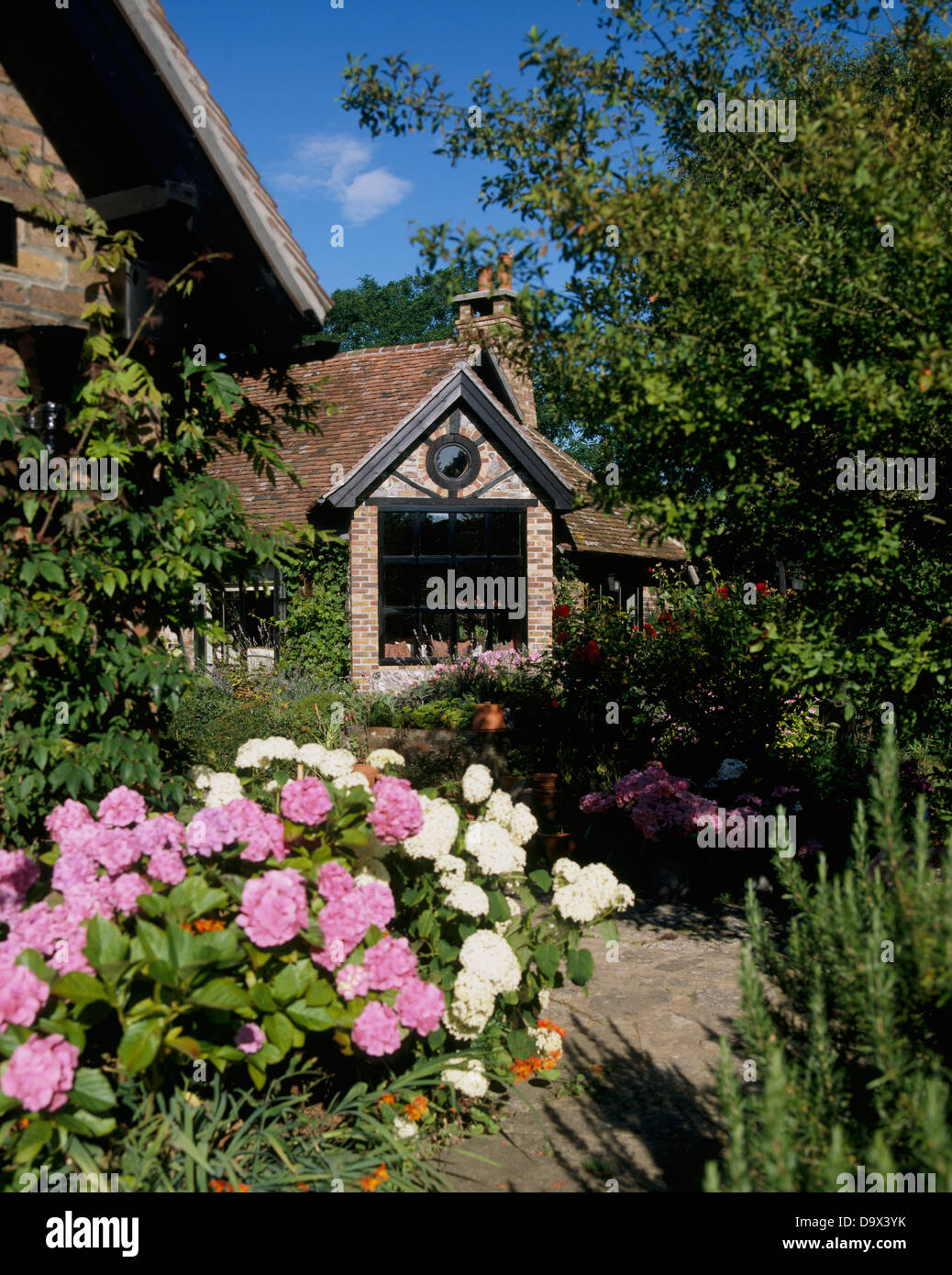 White and pink hydrangeas in border beside path to English country ...