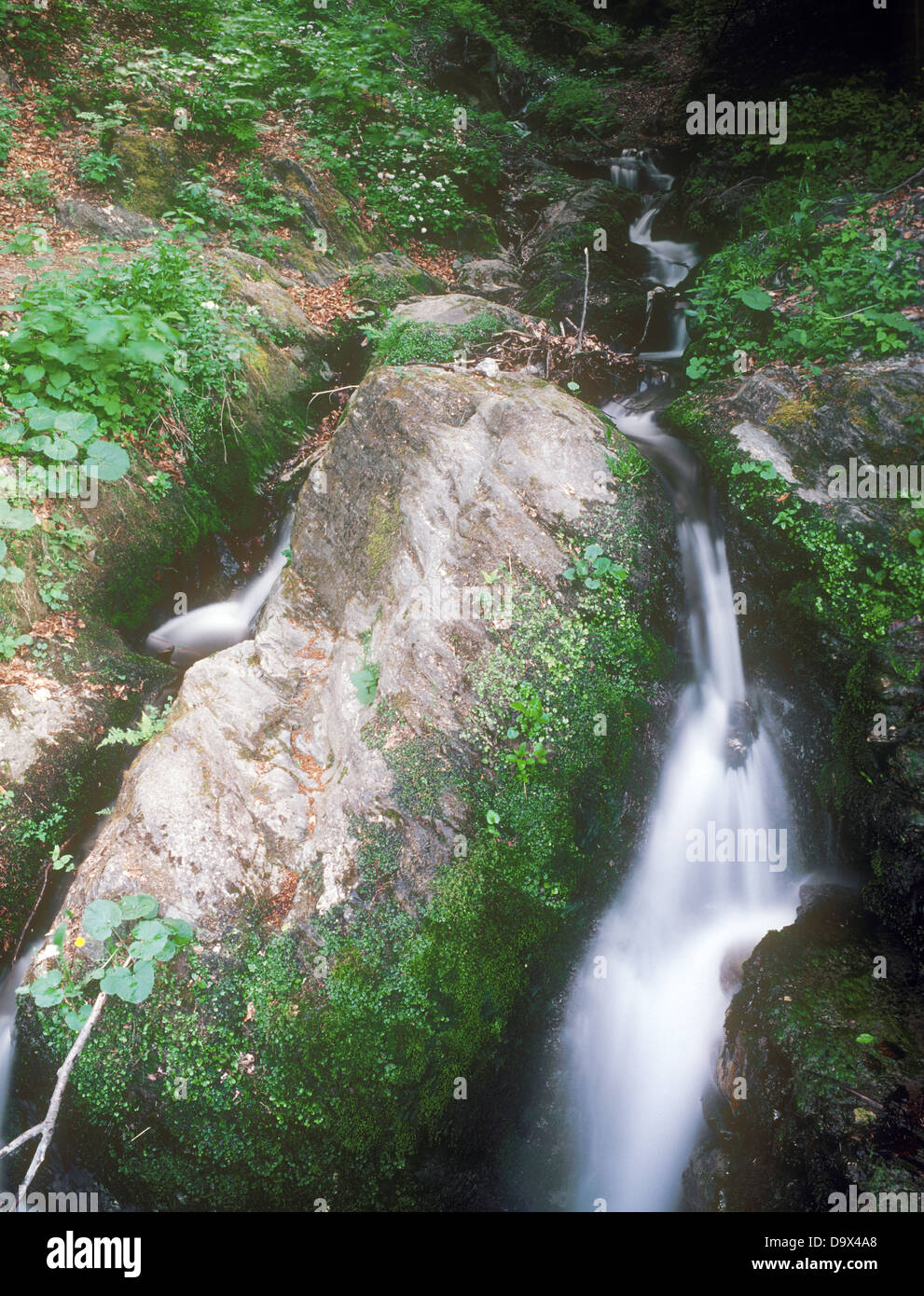 Streamlet hi-res stock photography and images - Alamy