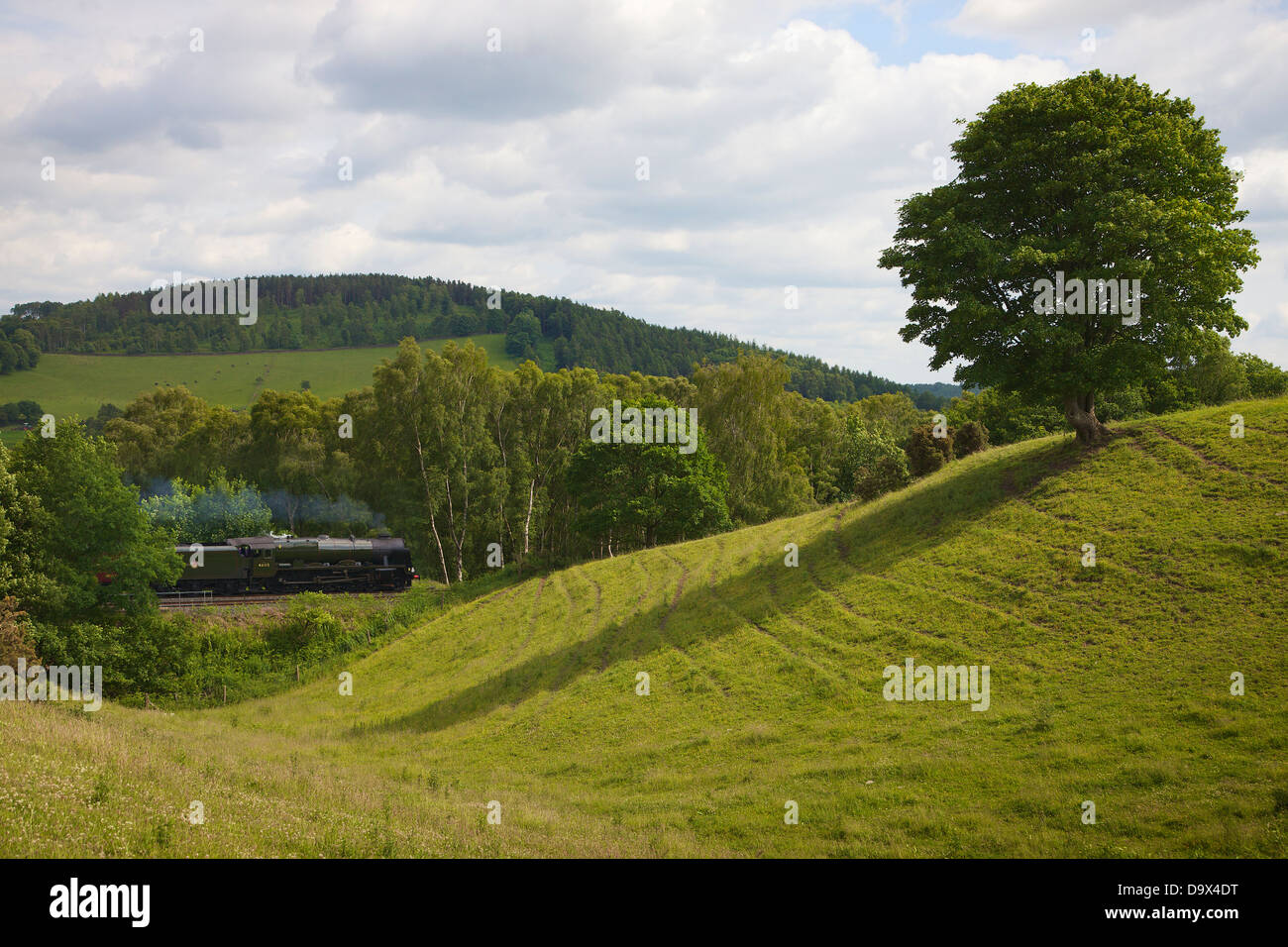 Train tree hi-res stock photography and images - Alamy