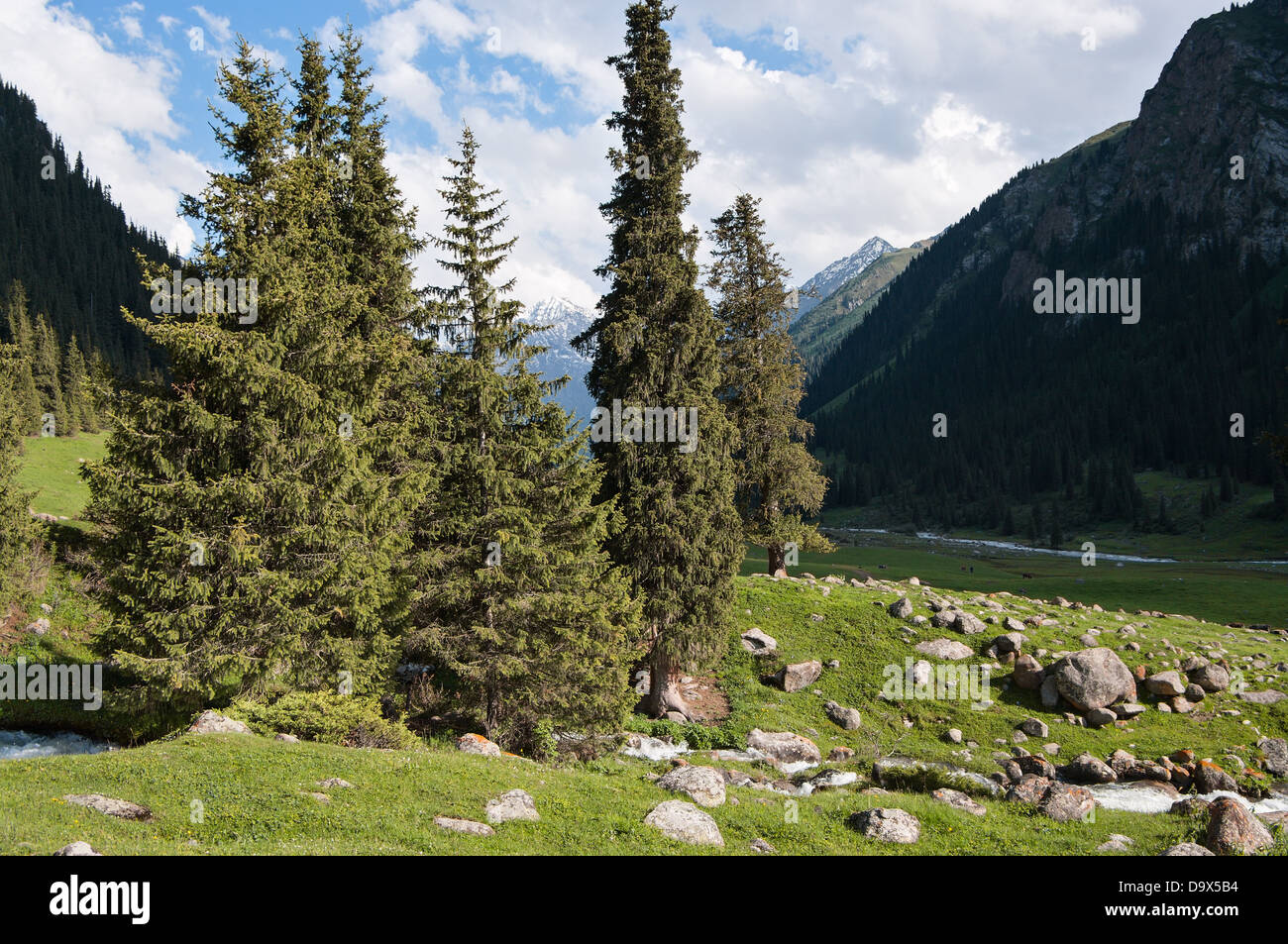 Aksay hi-res stock photography and images - Alamy