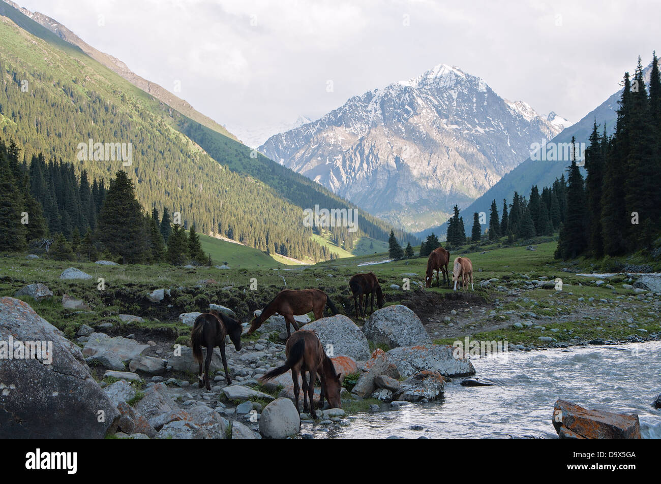Mountain Valley Aksay, Kyrgyzstan Stock Photo - Alamy