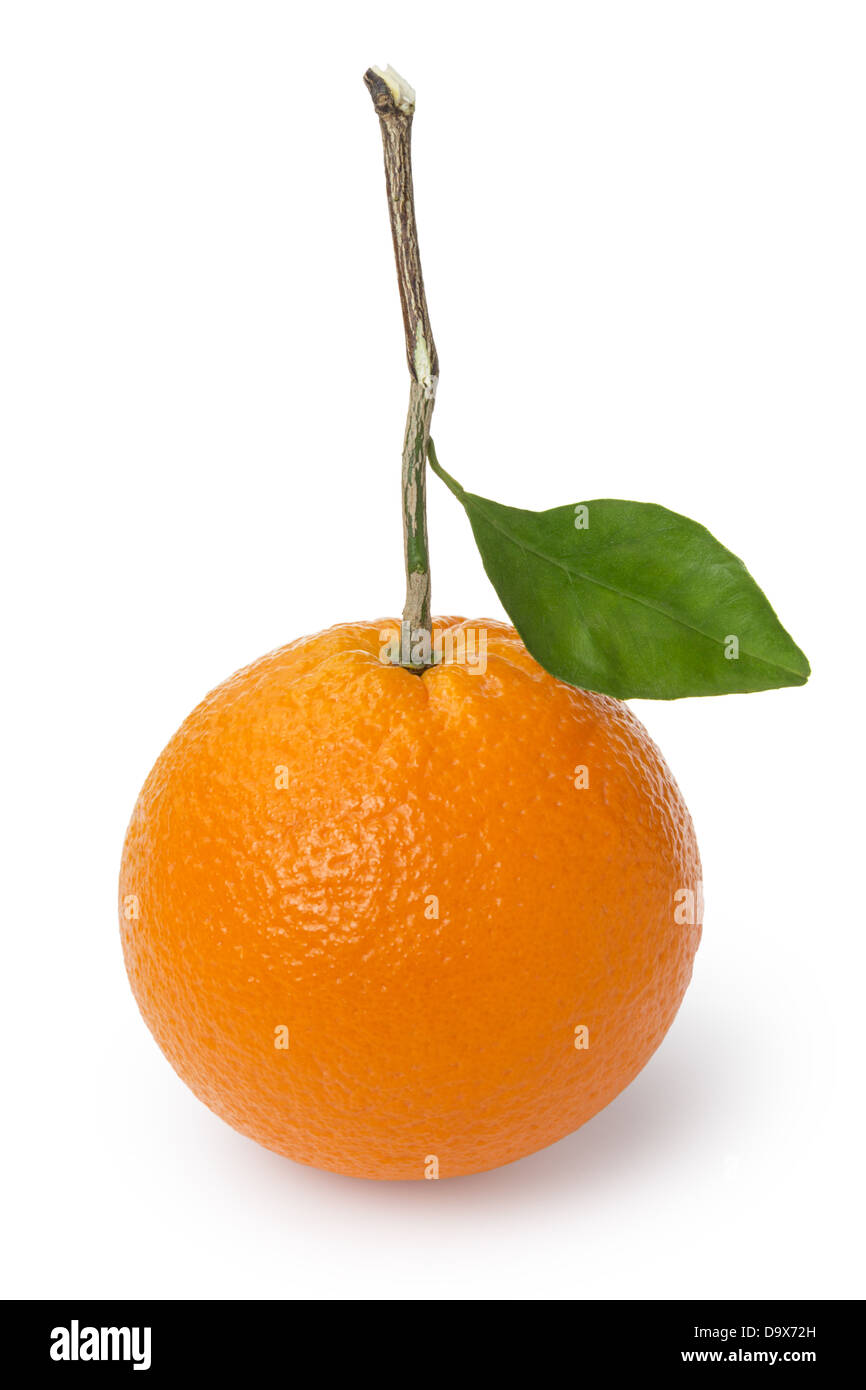 ripe round orange with stem and leaf, isolated on white background ...