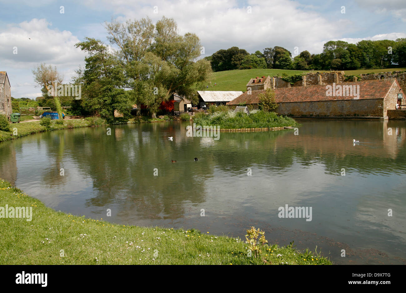 pond and barns Abbotsbury Dorset England UK Stock Photo - Alamy