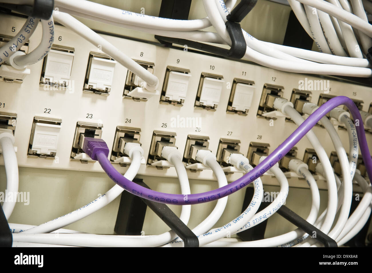 Network lan patch panel hi-res stock photography and images - Alamy