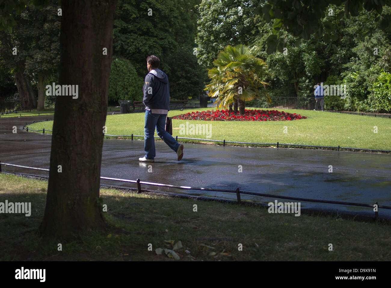 A man walks in a park Stock Photo - Alamy