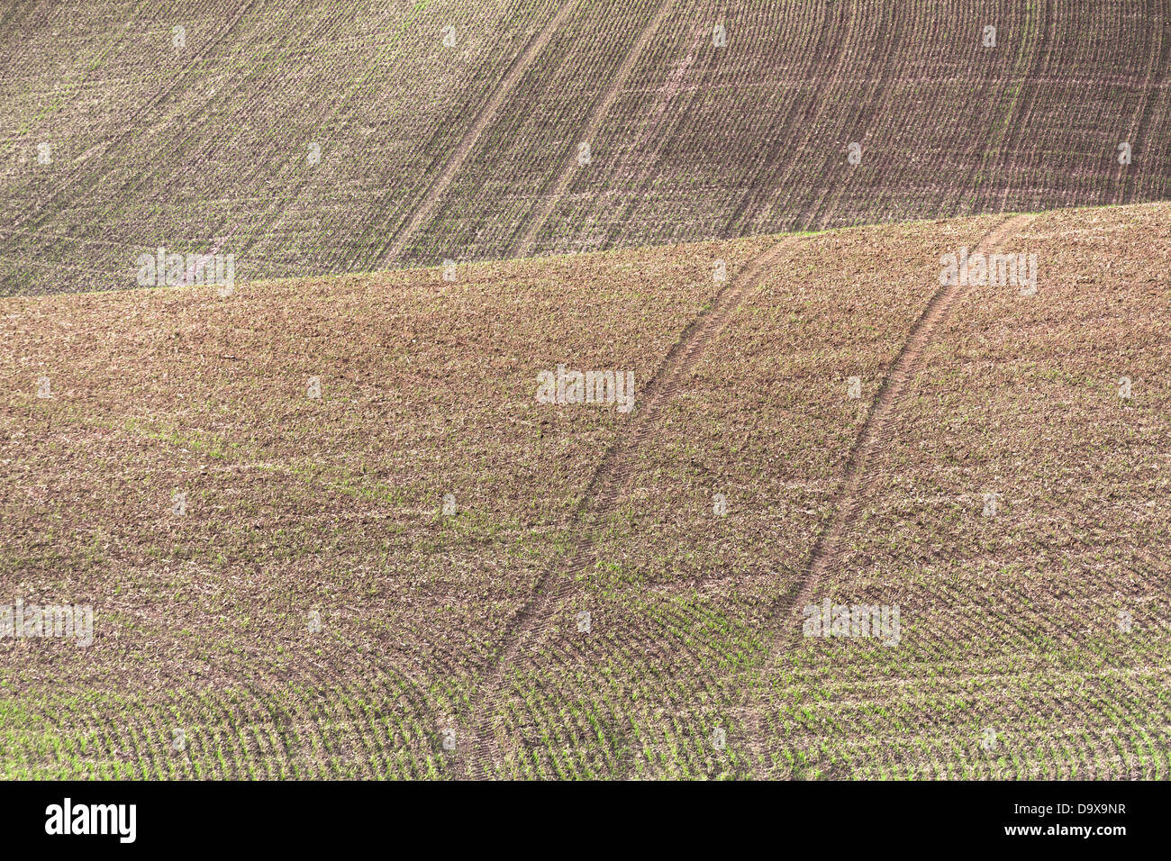 Farm Land, green wheat fields Stock Photo - Alamy