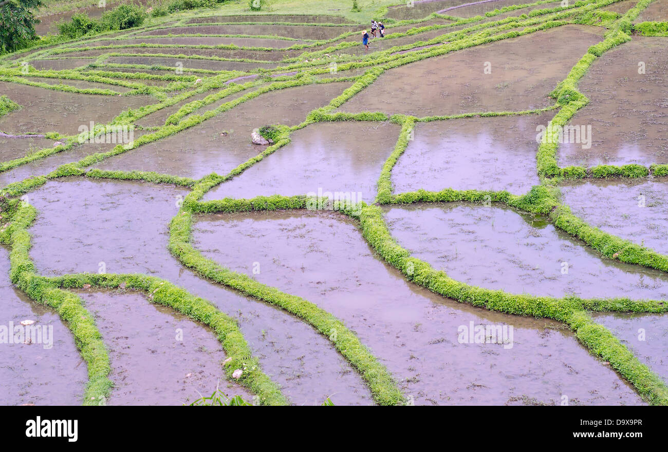 Myanmar rice terraces northern shan hi-res stock photography and images ...