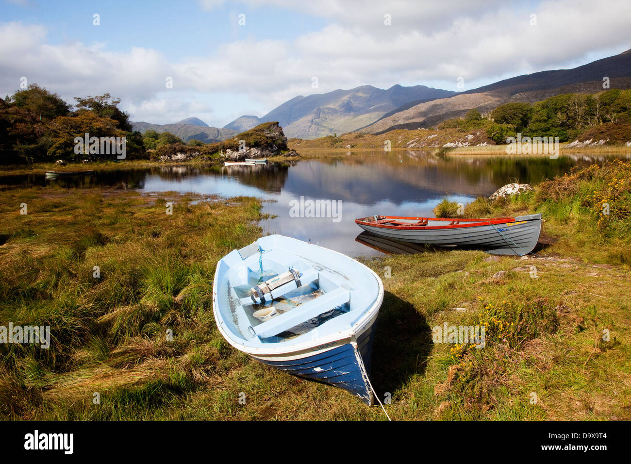 Killarney National Park Near Killarney; County Kerry, Ireland Stock ...