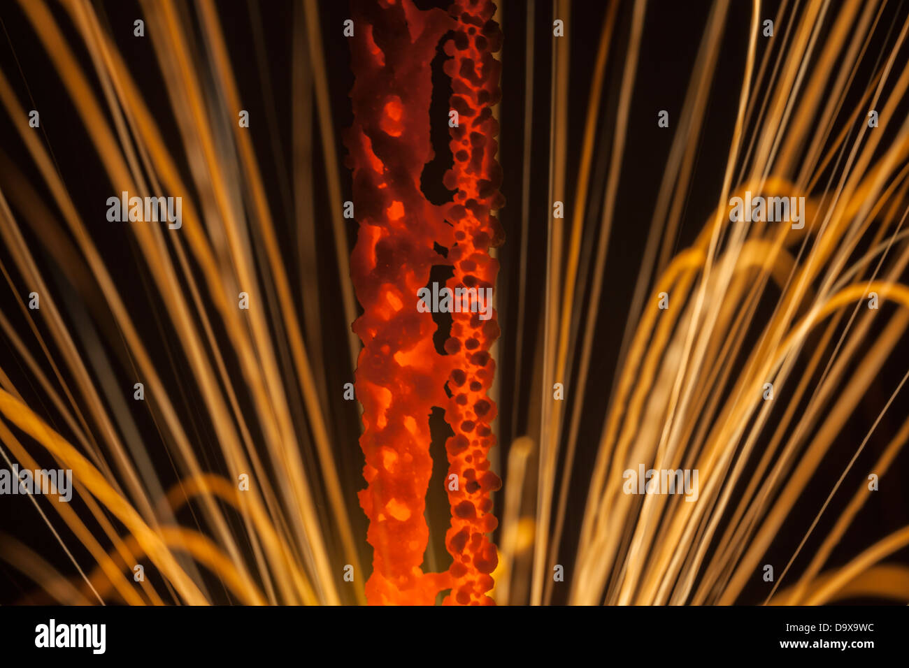 Sparkling sparkler extreme macro detail Stock Photo - Alamy