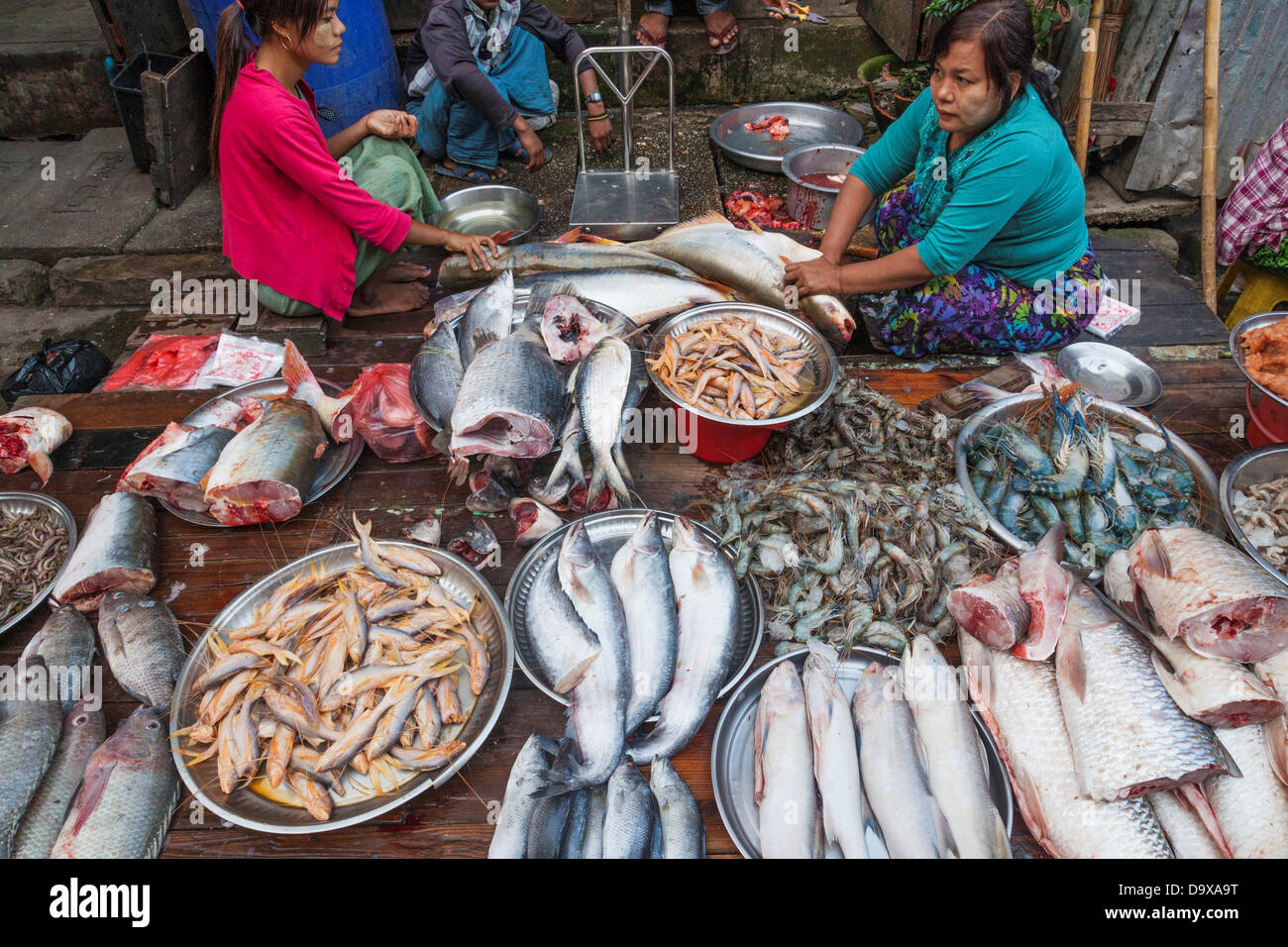 Woman selling fish and seafood at street market, Yangon, Myanmar Stock Photo - Alamy