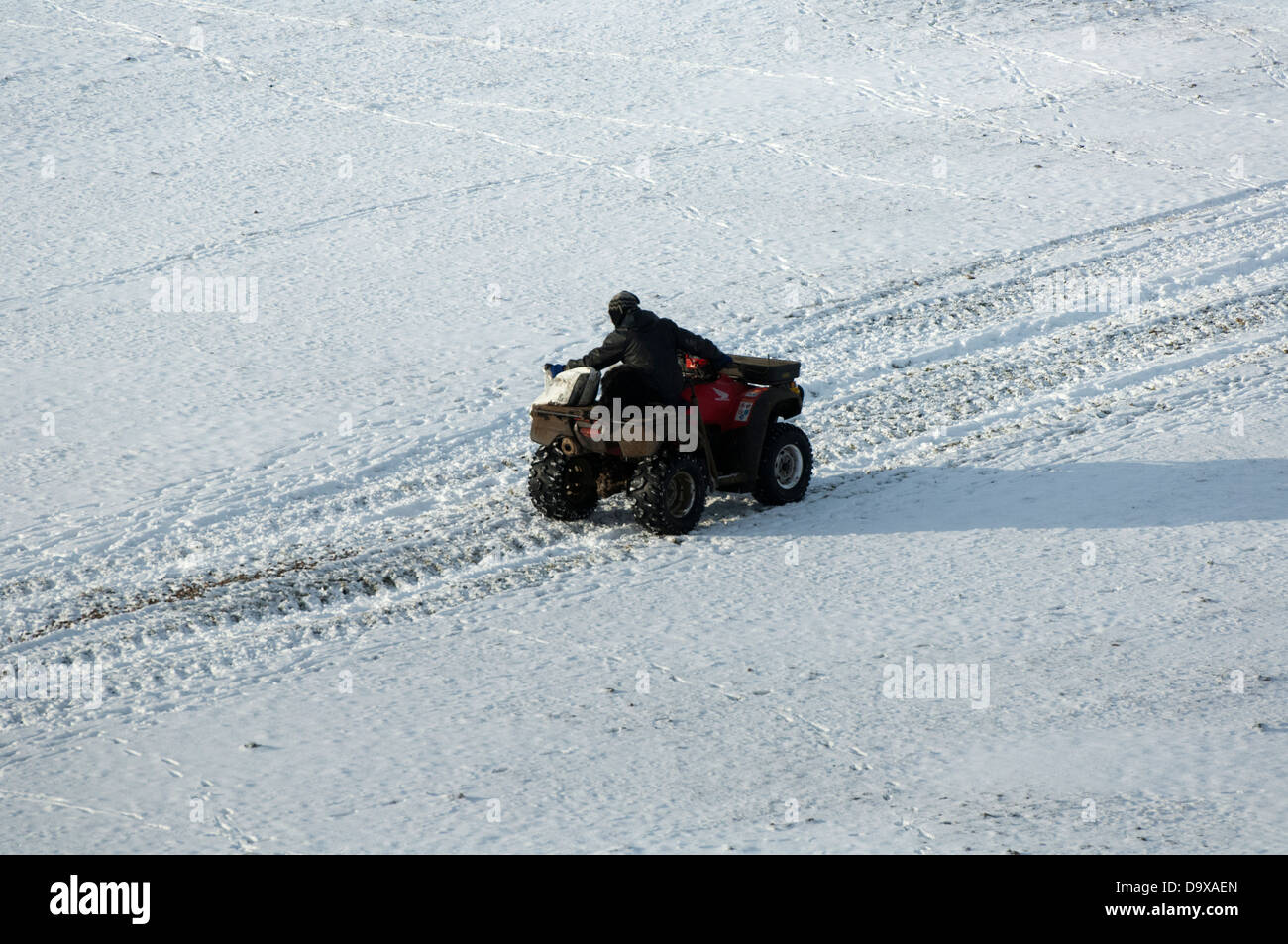 Sheep tracks hi-res stock photography and images - Alamy