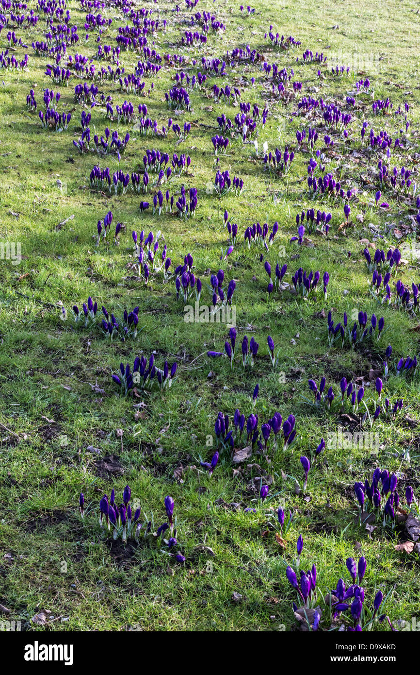 Riverlike hi-res stock photography and images - Alamy