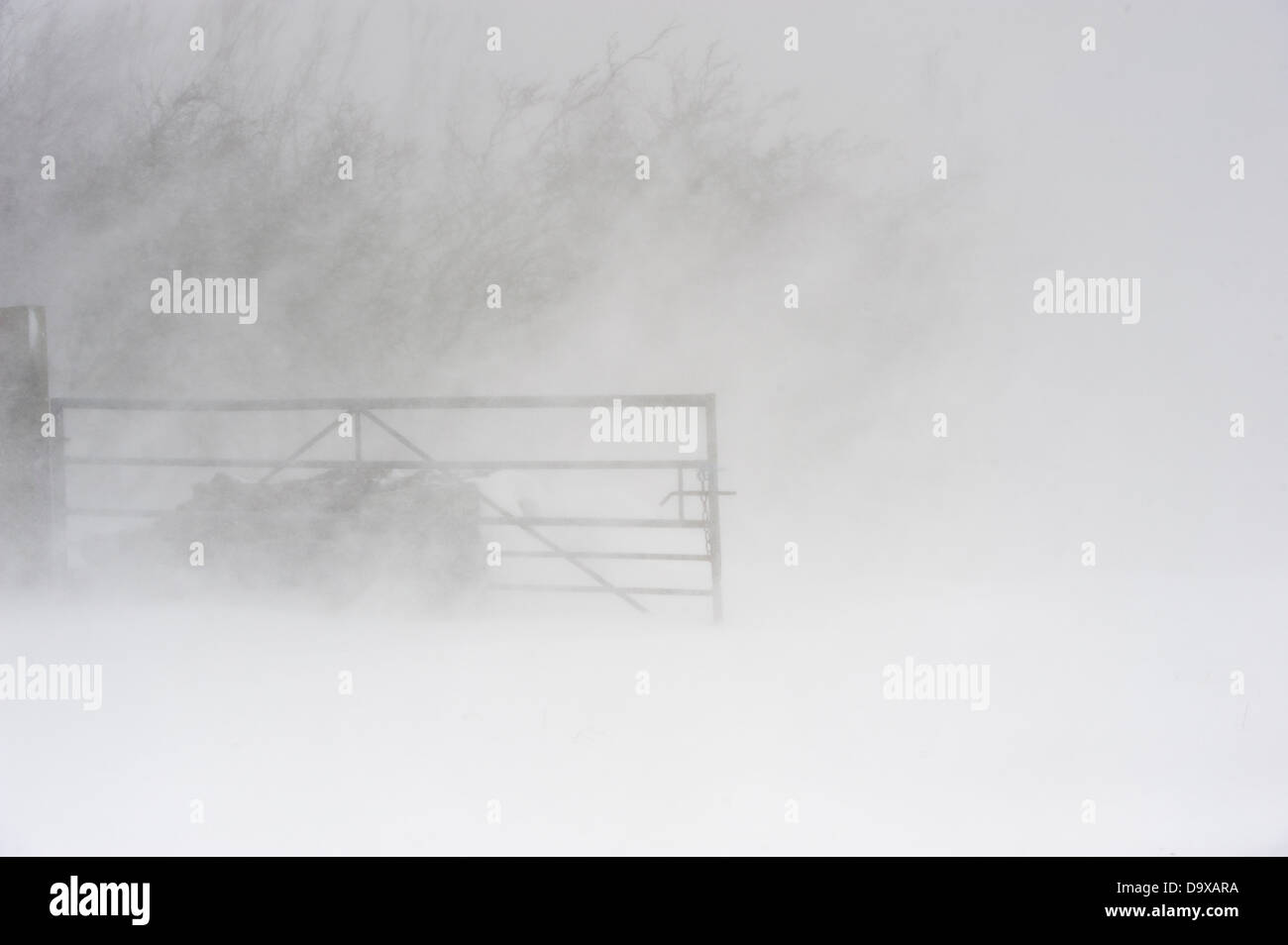 Farm gate snow hi-res stock photography and images - Alamy