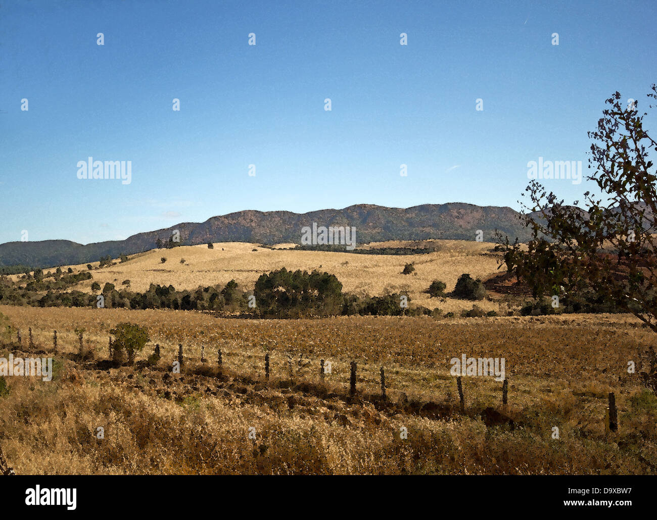 Brazilian autumn hi-res stock photography and images - Alamy