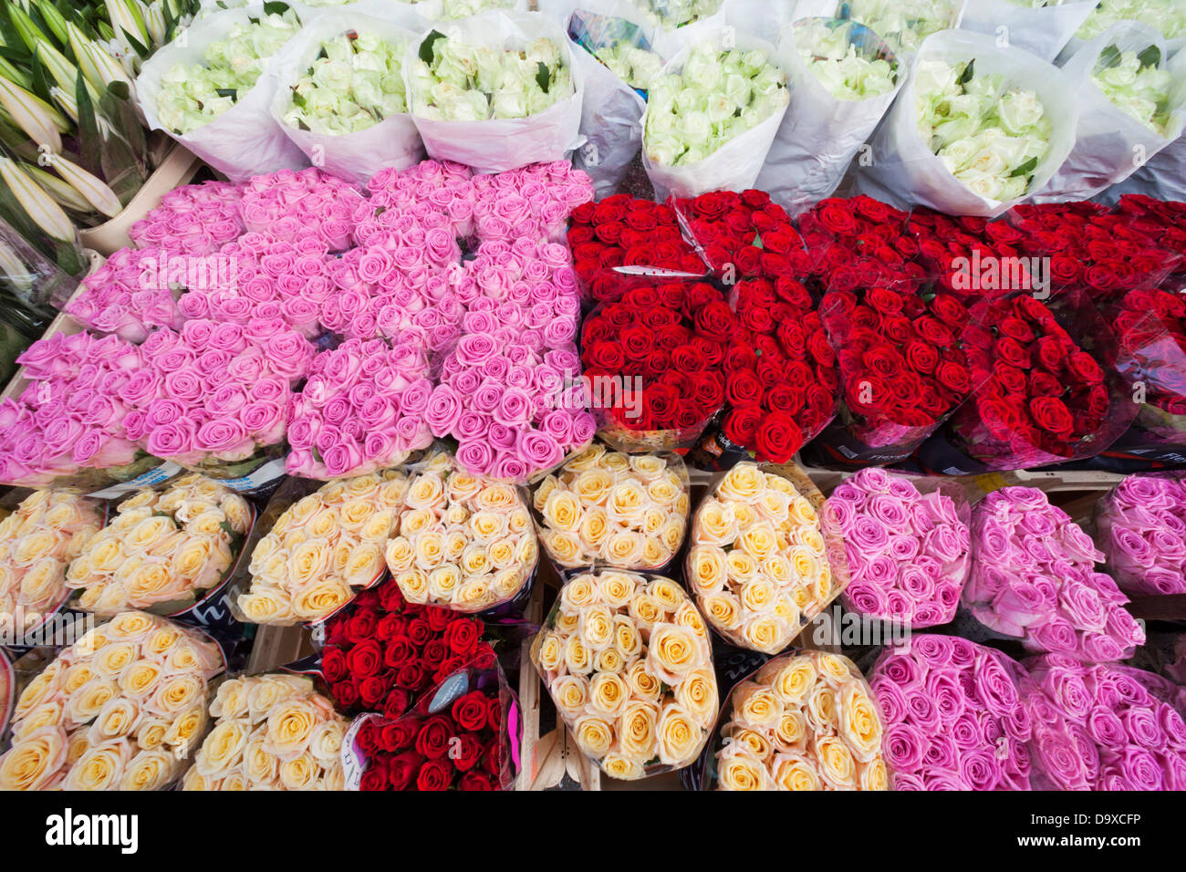 UK, England, London, Columbia Road Flower Market, Roses for sale Stock ...