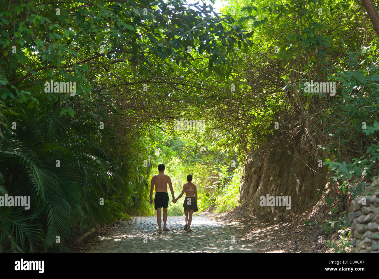 Couple walking down tree arched path Stock Photo - Alamy