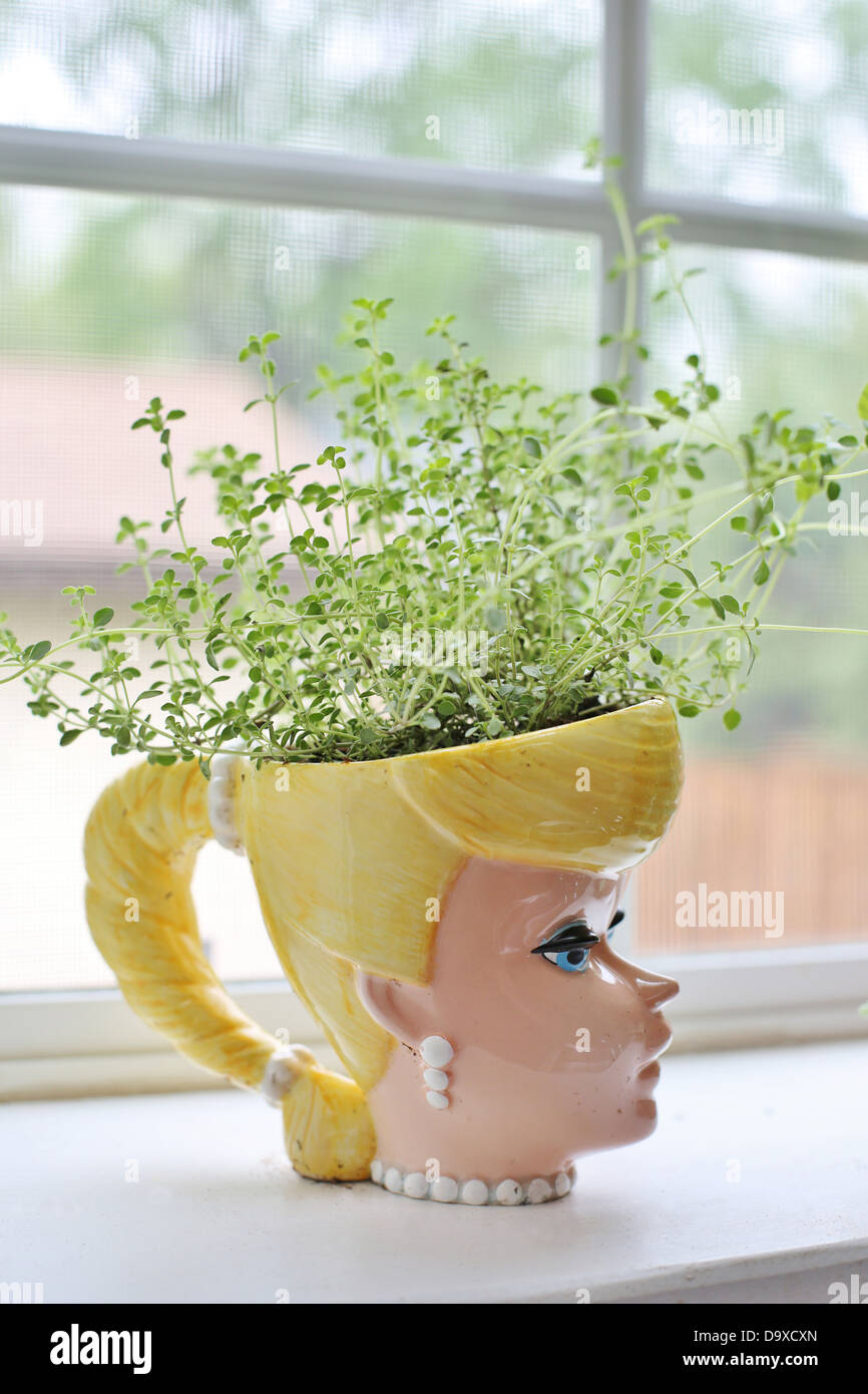 A Barbie shaped planted with thyme growing out the top Stock Photo - Alamy