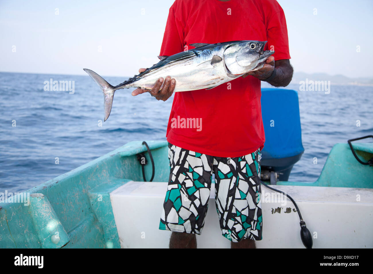 Person holding fish on boat hi-res stock photography and images - Alamy