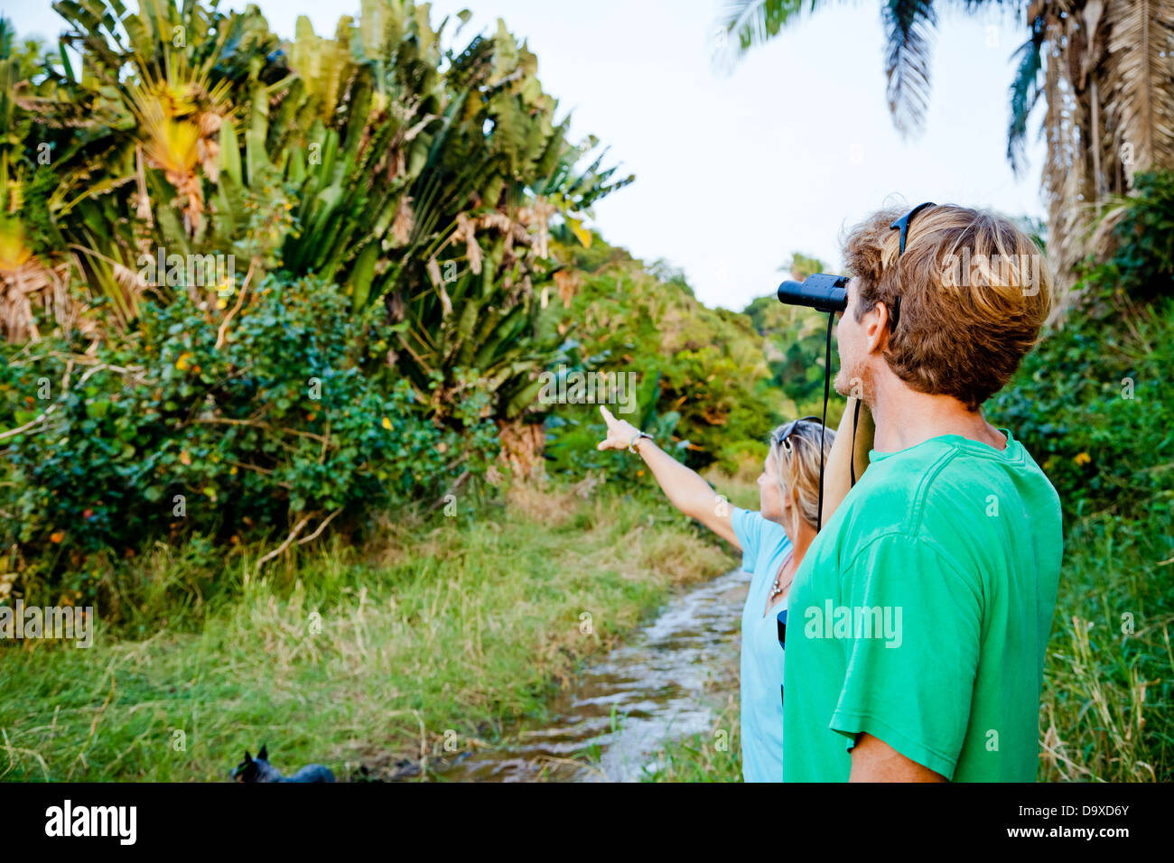 Couple birdwatching in jungle Stock Photo - Alamy