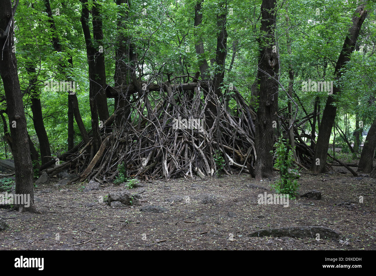 A fort made of sticks in the woods Stock Photo - Alamy