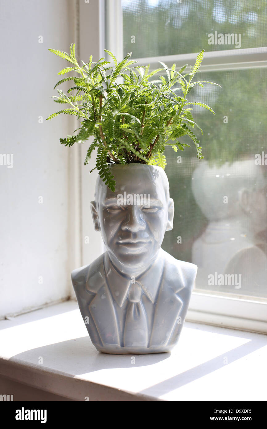 Planter Amazon Head Planter Online - Premium Vase Head Flower Pots Face ...