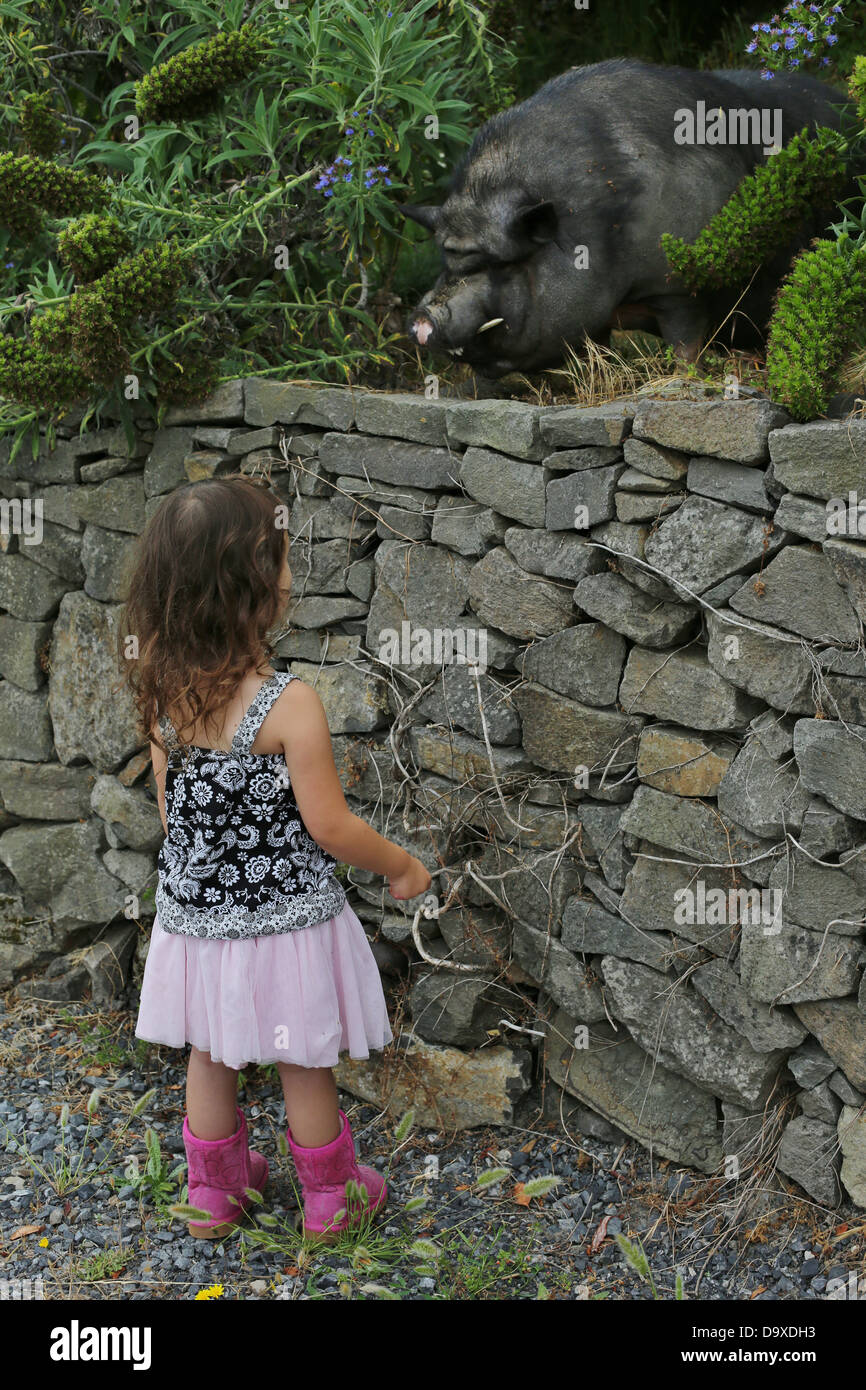 Girl pig hi-res stock photography and images - Alamy