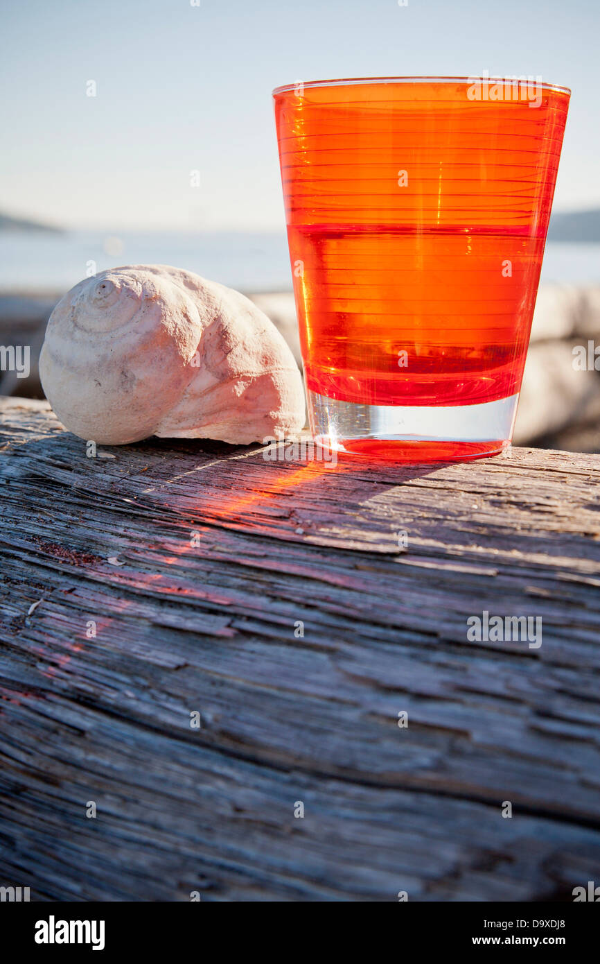 Orange cup on driftwood log Stock Photo - Alamy