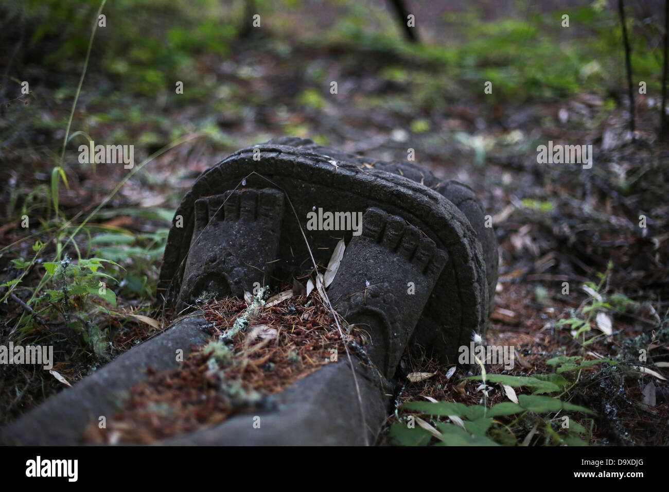 A close up of the feet of a fallen statue in a forest Stock Photo - Alamy