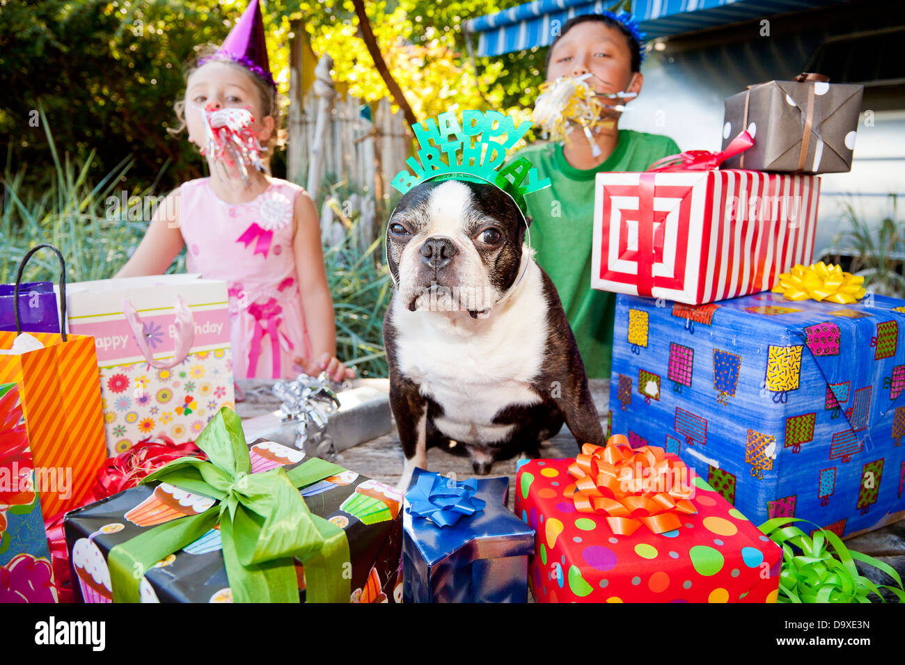 Two children and dog at outdoor birthday party Stock Photo - Alamy