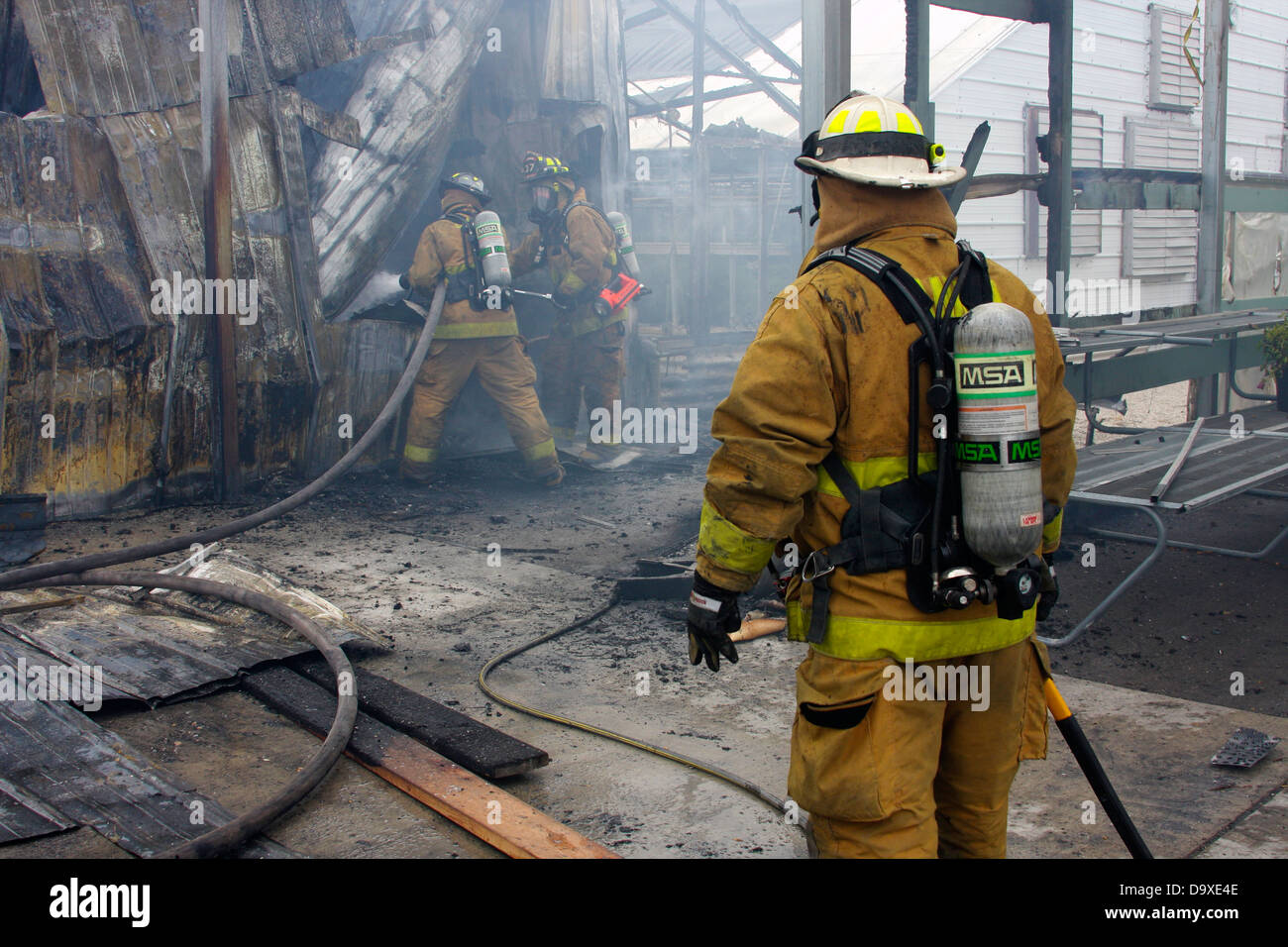 A chief watching over two firefighters extinguishing a fire Stock Photo ...