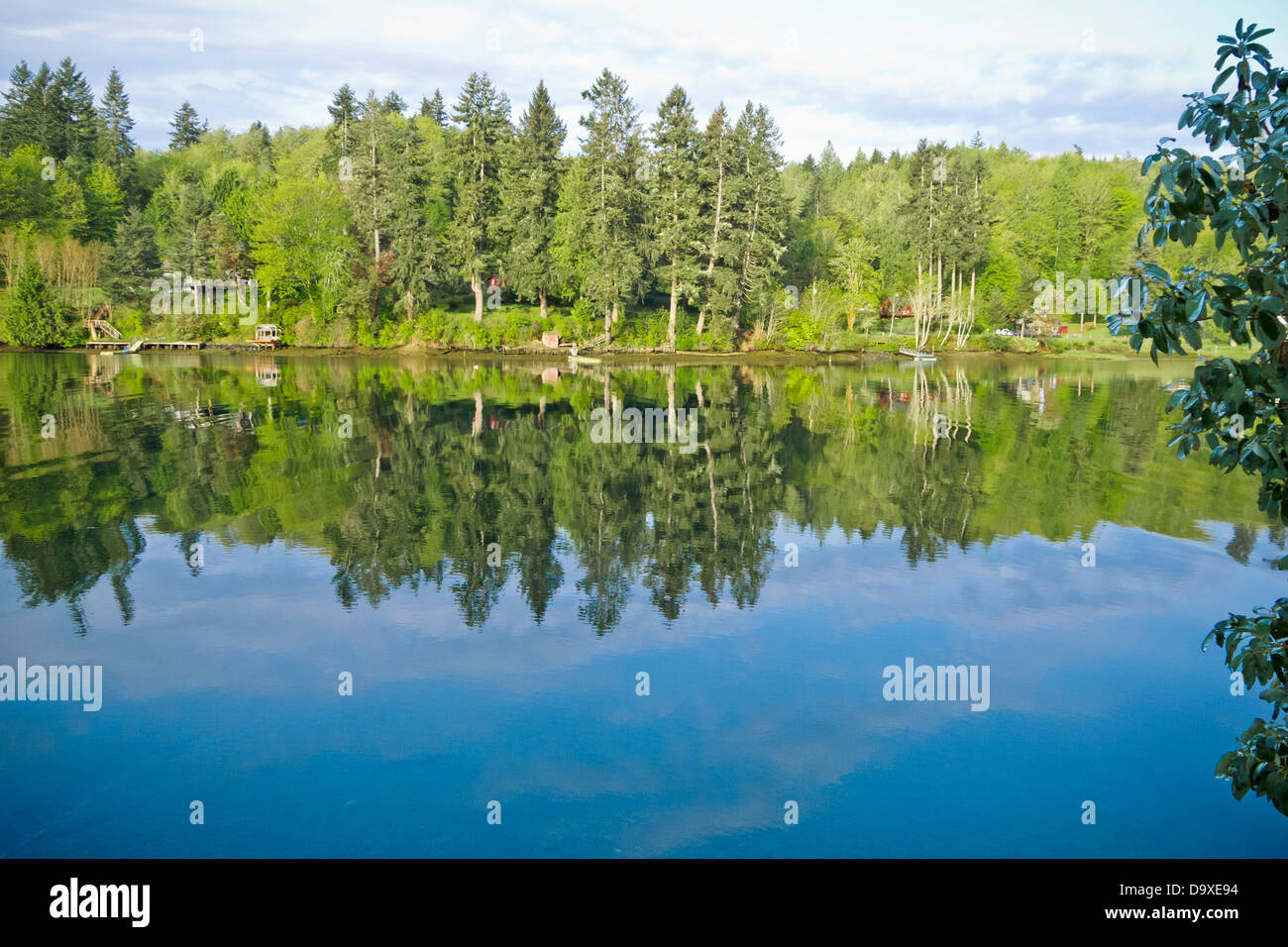Trees reflecting in puget sound inlet Stock Photo - Alamy