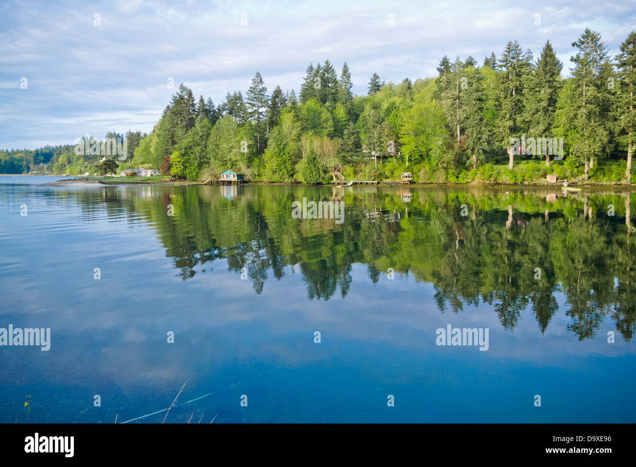 Trees reflecting in puget sound inlet Stock Photo - Alamy